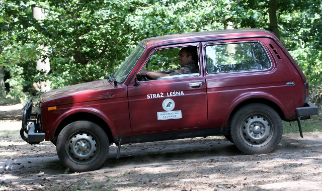 Straż leśna: jakie prawa ma względem kierowców? - WP Moto